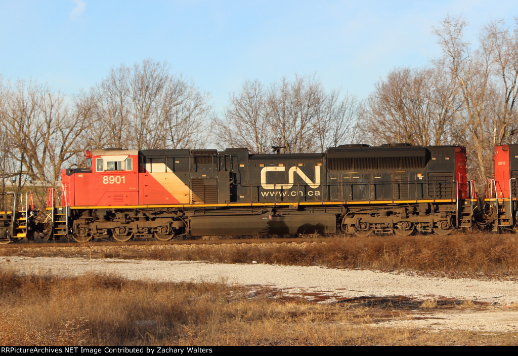 CN 8901